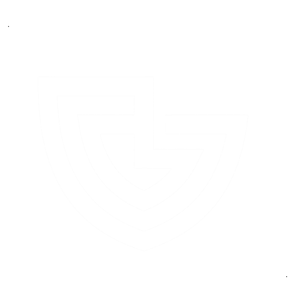 FIVESHIELD | FiveM & RedM Anti-DDoS Protection